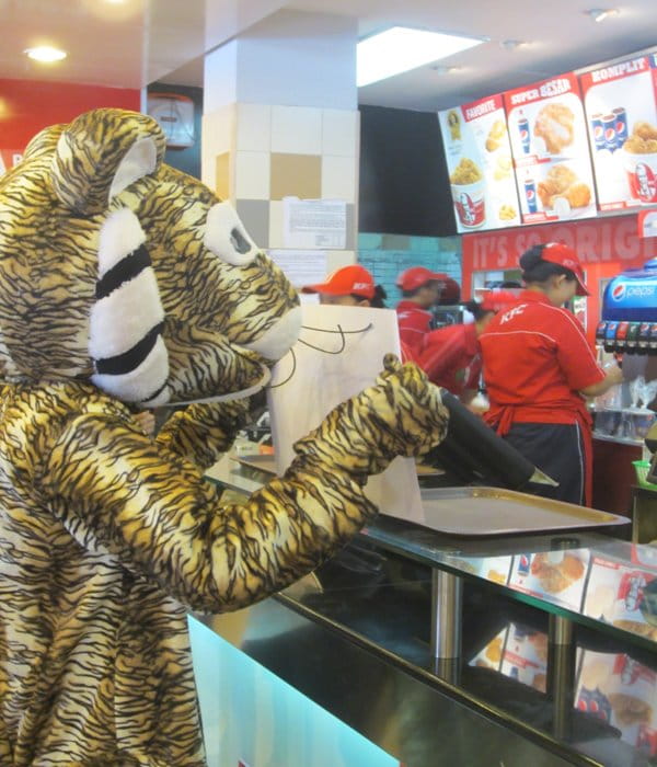 Harimau Sumatera Pesan Menu di KFC Cikini