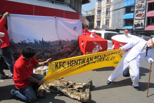 Harimau Sumatera Pesan Menu di KFC Cikini