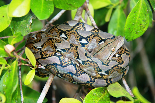 Foto: Biduk-Biduk, Pesona Ujung Timur Kabupaten Berau, Kalimantan Timur