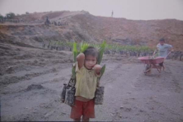 Perusahaan Sawit di Kalbar Tertangkap Kamera Pekerjakan Anak-anak