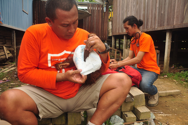 Laporan: Pebisnis Sawit Indofood Agri Disinyalir Ratakan Habitat ...