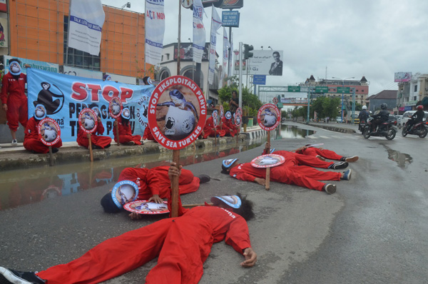 ProFauna: Telur Penyu Tambah Kebugaran Pria Hanya Mitos Belaka