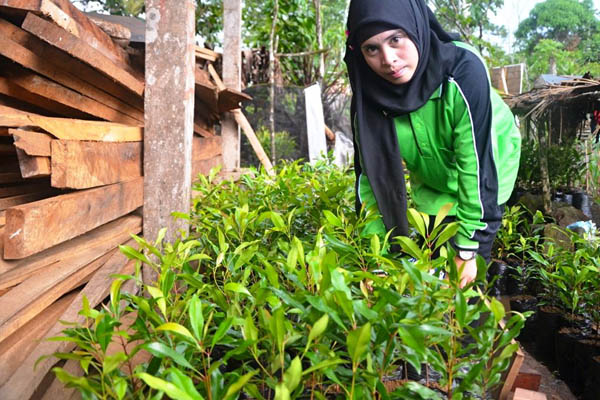 “Madu Alam” dari Hutan Desa di Bantaeng