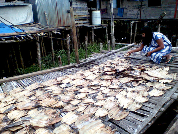 Danau Lindung Ini Lahir dari Rahim Kearifan Masyarakat Empangau