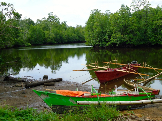 Keren! Desa Deaga Punya Aturan Lindungi Hutan Mangrove