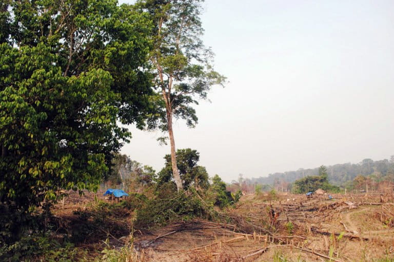 Resahnya Masyarakat Dayak Kenyah-Kayan akan Wilayah Adat Tana’ Ulen