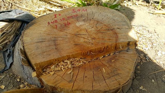 Cerita Petani Hutan Lestari dari Boyolali