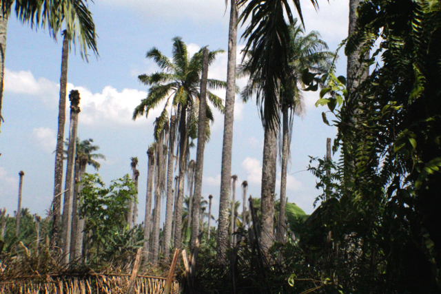 Mencari Desa Hilang di Padang Halaban