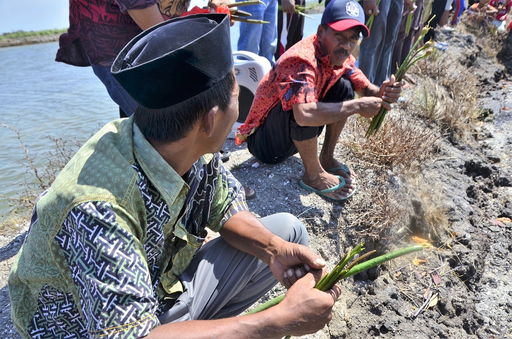 Demi Hijaukan Pesisir, 114 Petambak di Desa Balandatu Rela Tambaknya ...