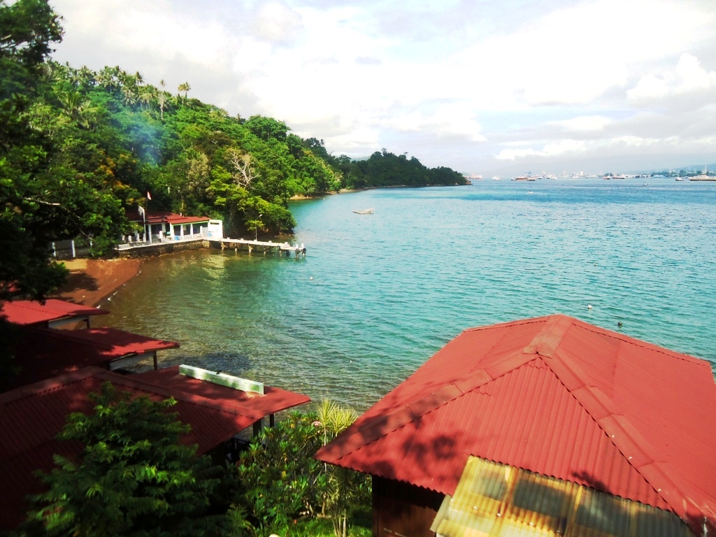 Mongabay Travel: Menikmati Indahnya Laut dan Rimbunnya Mangrove Pulau ...