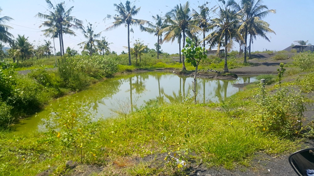 Ijon Politik lewat Tambang? Bupati Lumajang Upaya Perbaiki Tata Kelola