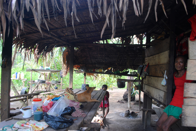 Kehidupan Orang Tobelo Dalam di Hutan Tayawi (Bagian 2)
