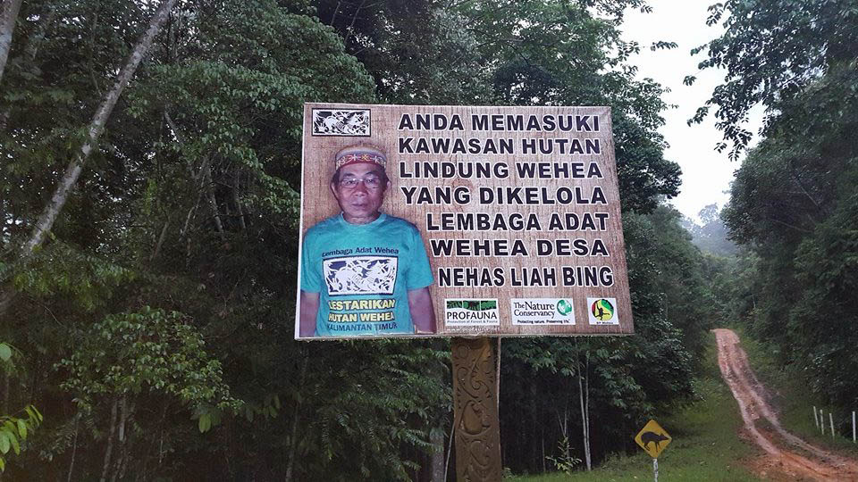 Yuliana Wetuq, Perempuan Tangguh Penjaga Hutan Lindung Wehea (Bagian 3)