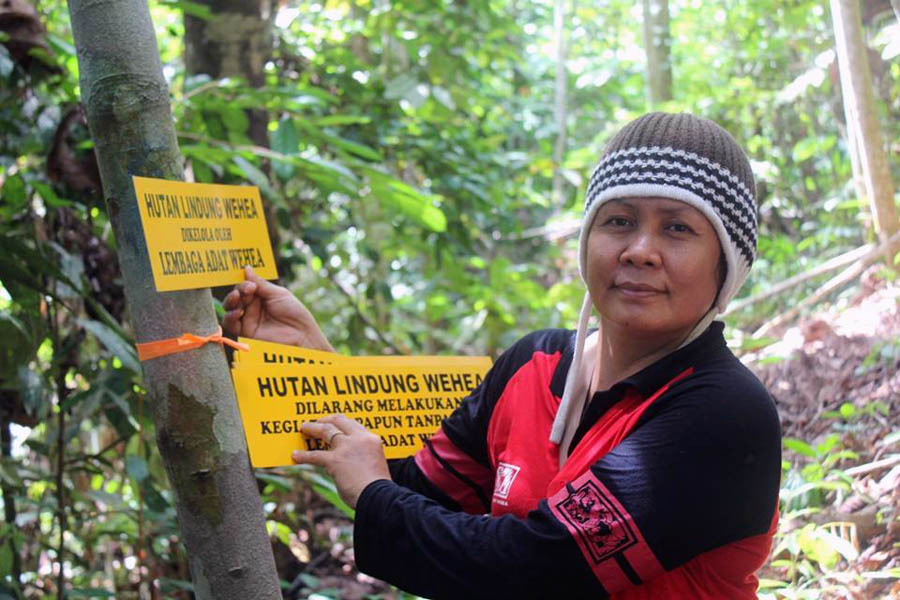 Yuliana Wetuq, Perempuan Tangguh Penjaga Hutan Lindung Wehea (Bagian 3)