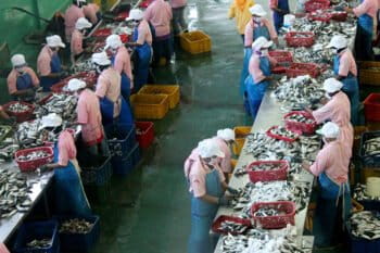 Tantangan Menjaga Mutu dan Kualitas Produk dari Laut