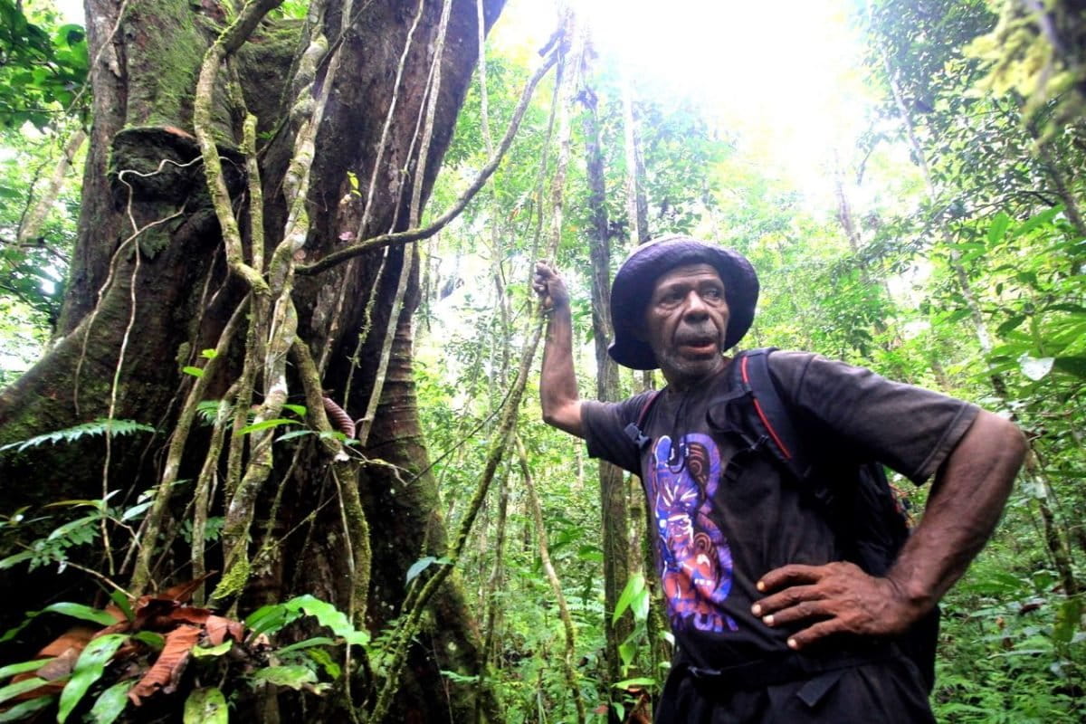 Belajar Menjaga Hutan dari Demianus Klembiak, Si Embun dari Cyclops