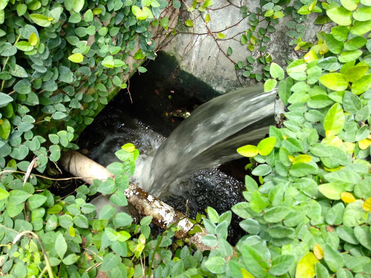Kala Teluk Kendari Tercemar Merkuri dan Limbah B3