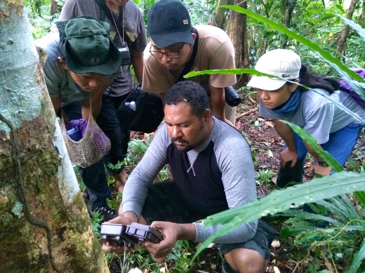 Melacak Ekidna, Satwa Keramat Orang Papua di Cyclops