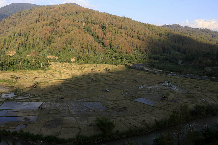 Apa Kabar Moratorium Logging Aceh?