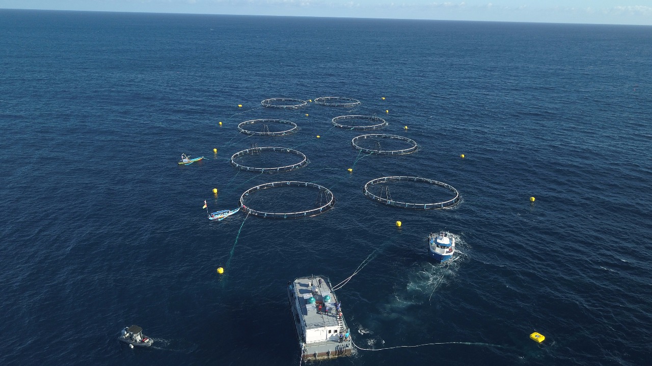 Keramba Jaring Apung Lepas Pantai Pertama Segera Beroperasi di Pangandaran