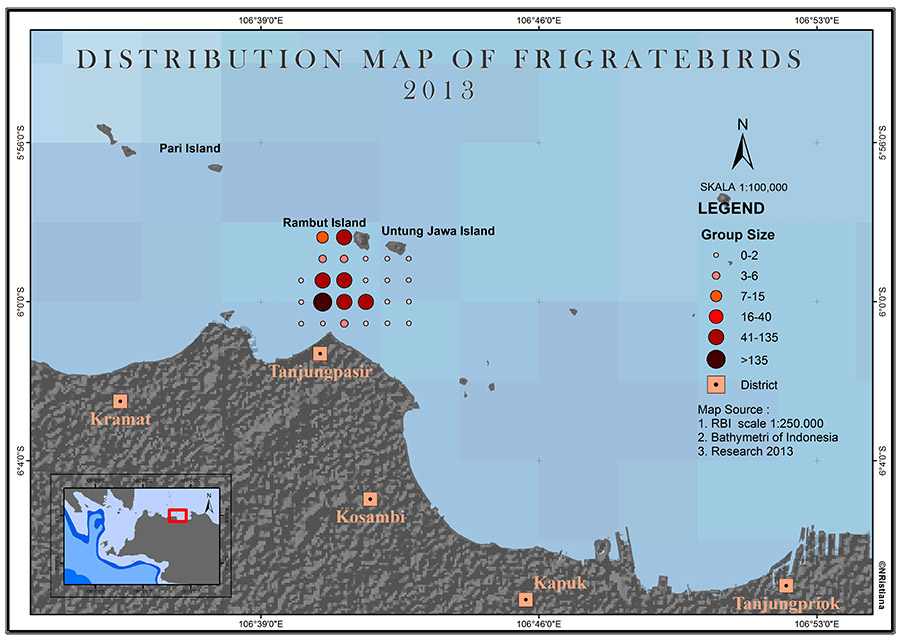 Cikalang Juga Menderita Bila Laut Tercemar