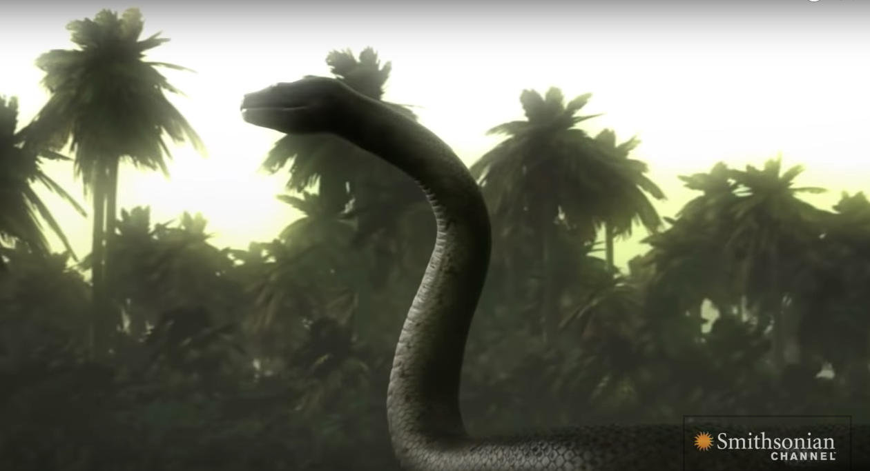 Fakta Unik Ular Terbesar di Bumi yang Harus Anda Ketahui