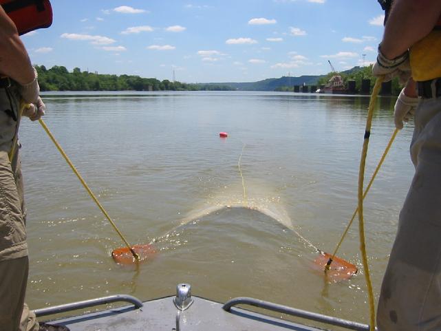 Polemik Alat Tangkap Ikan, Negara Diragukan untuk Jaga Laut Lestari?