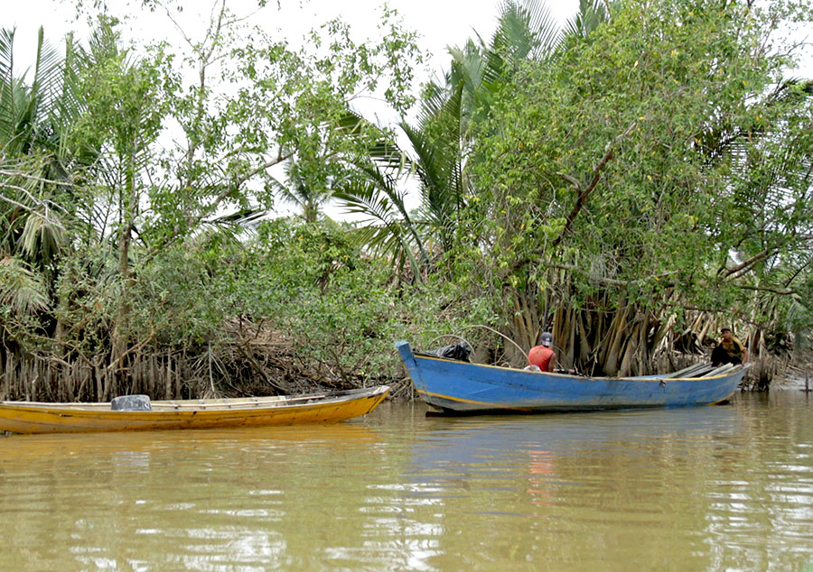 Takut Berseteru dengan Harimau, Masyarakat Desa Ini Pilih Tidak Beternak