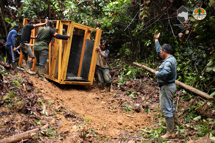 Pari Bakal Temani Pahu di Suaka Badak Kelian