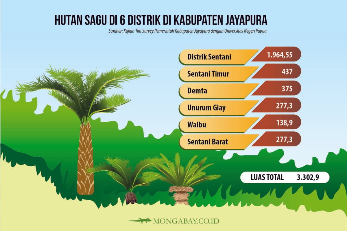 Merawat Hutan Sagu di Sentani