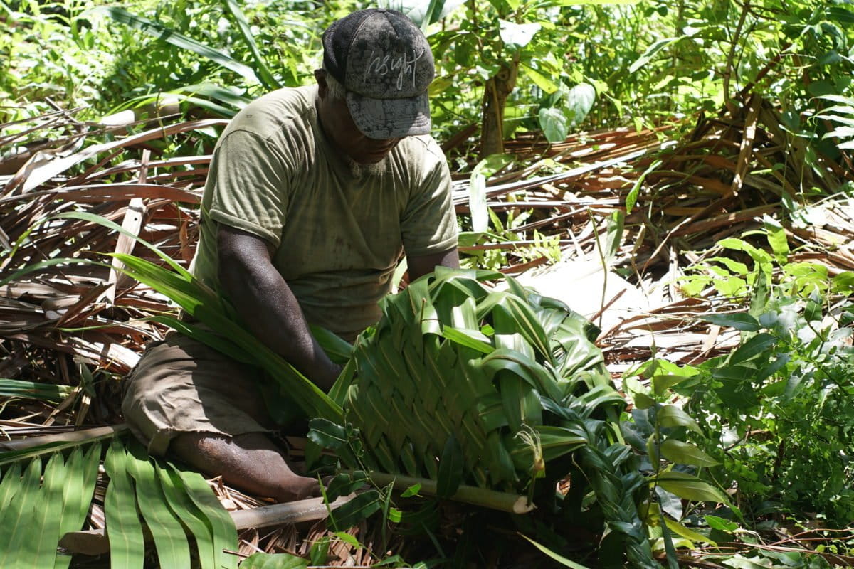 Merawat Hutan Sagu di Sentani