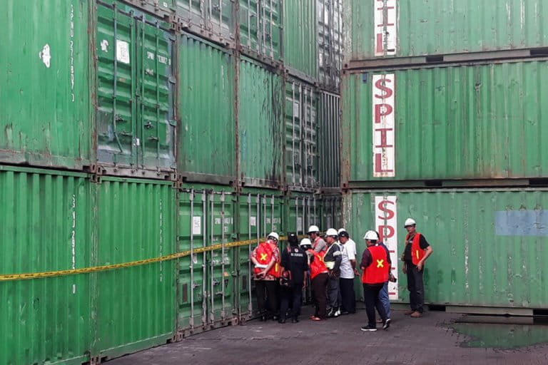 Sudah 384 Kontainer Kayu Merbau Ilegal Asal Papua Diamankan, Bagaimana Hukuman Pelaku?