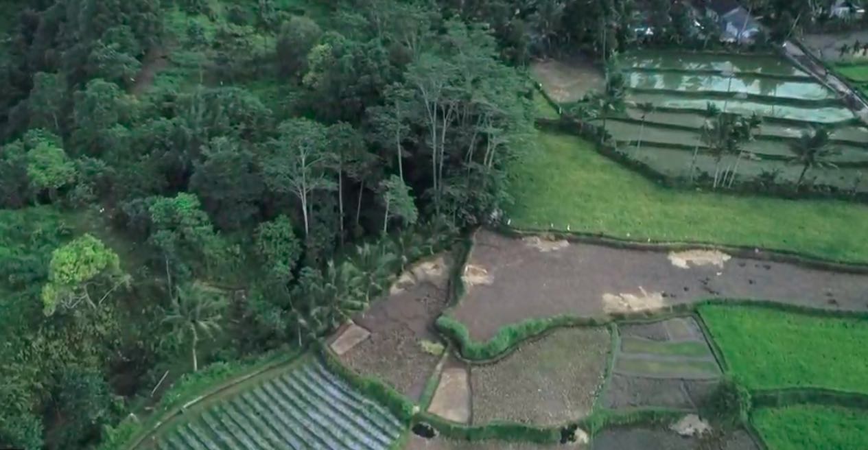 Pangan Hutan yang Selamatkan Warga Aik Berik di saat Gempa Lombok