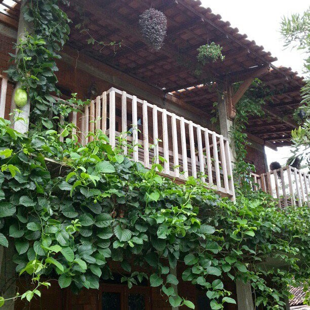 Yu Sing: Arsitek Harus Peka Lingkungan