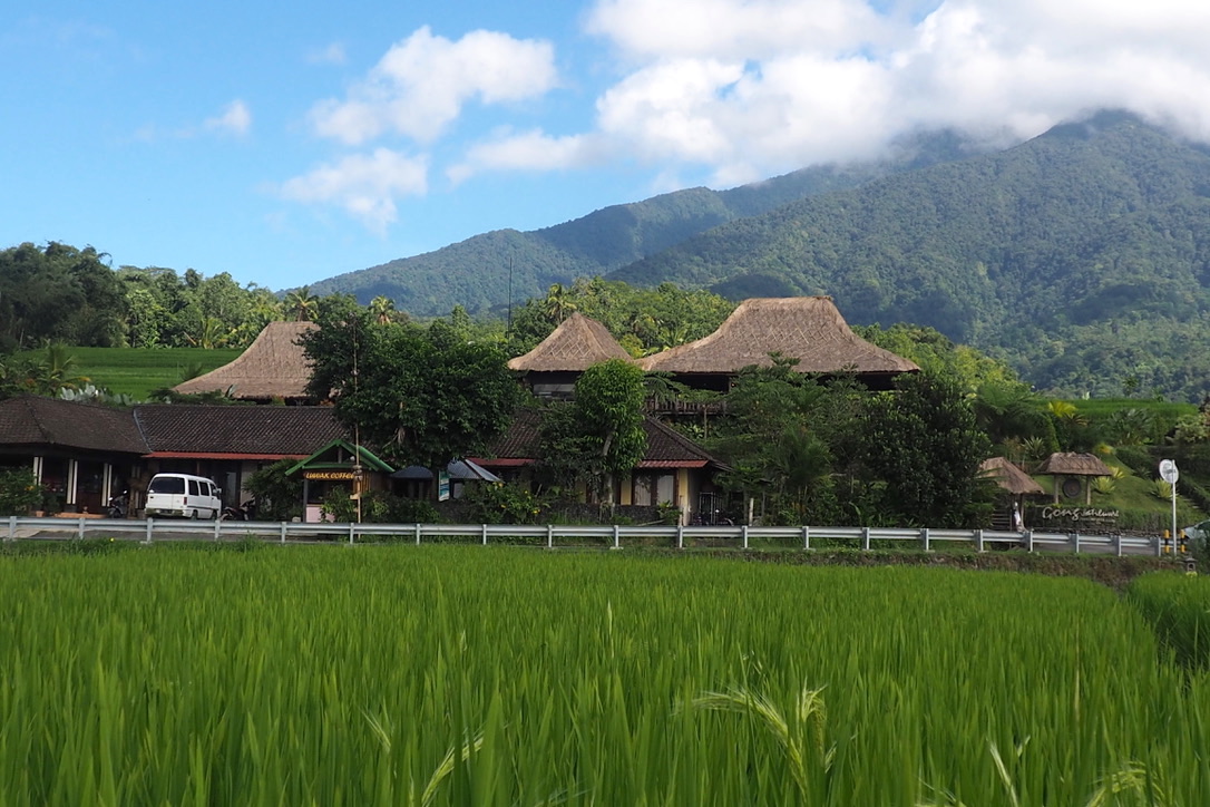 Nasib Jatiluwih setelah Menjadi Warisan Budaya Dunia [3]