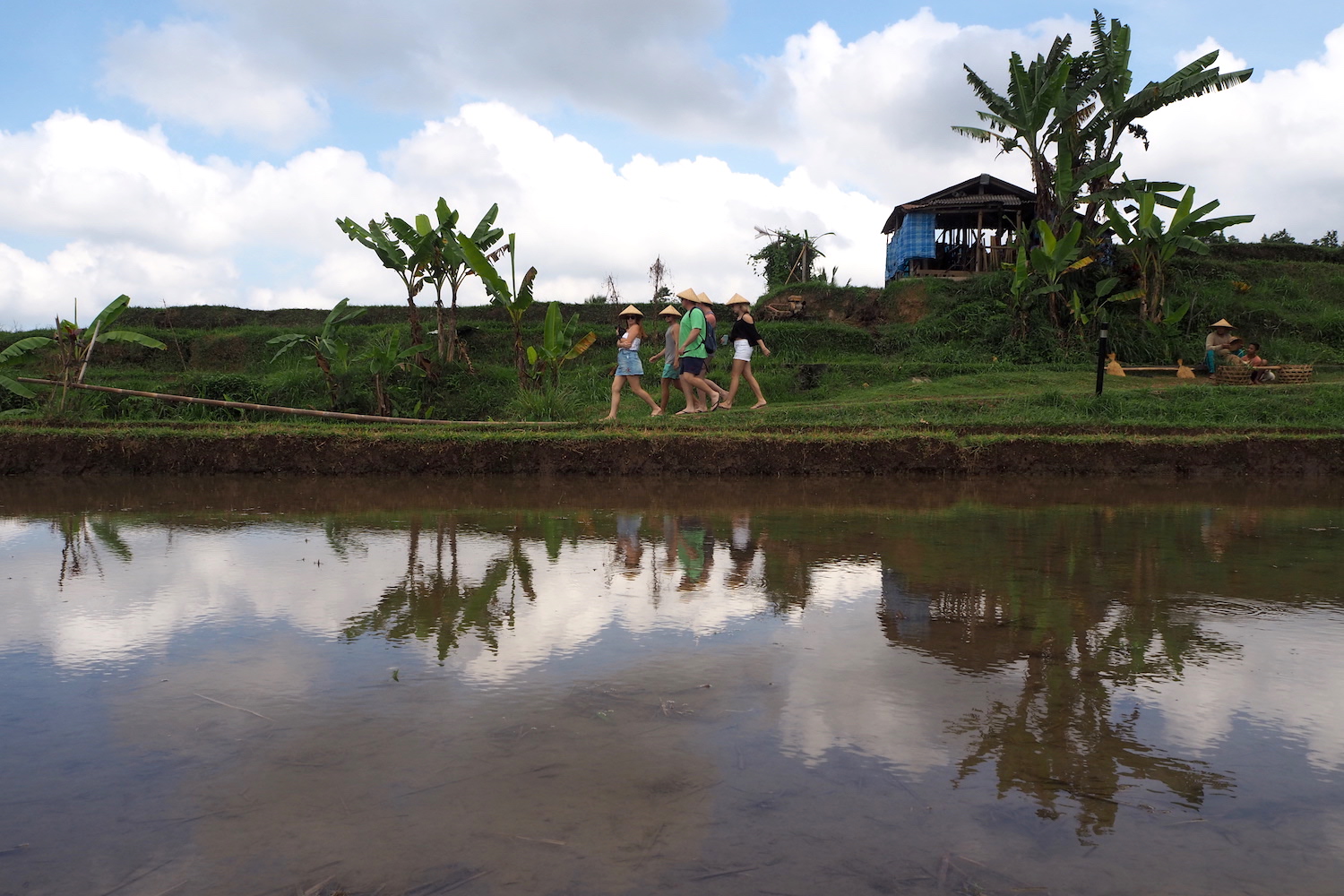 Nasib Jatiluwih setelah Menjadi Warisan Budaya Dunia [2]
