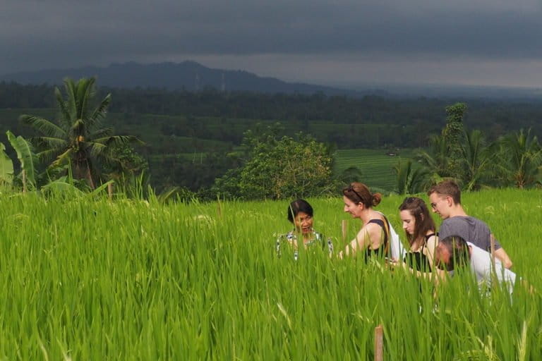 Nasib Jatiluwih setelah Menjadi Warisan Budaya Dunia [1]