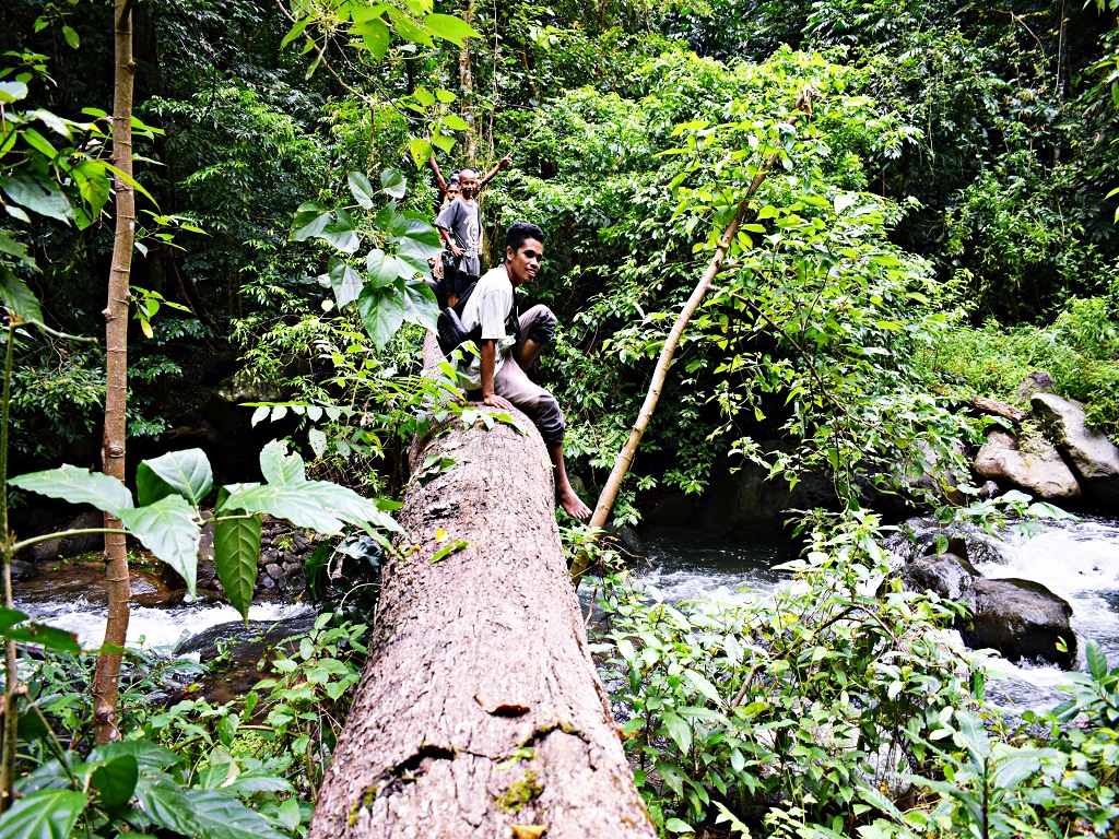Pelibatan Masyarakat Adat Penting Dalam Kelola Hutan, Kenapa?
