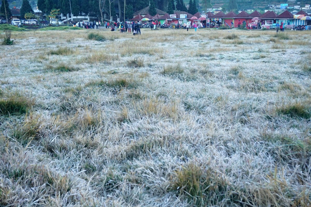 Mengapa Embun Beku Dieng Muncul Lebih Dini?