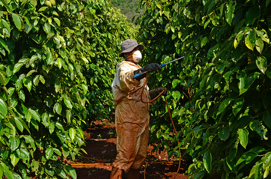 Bumi Krisis Keanekaragaman Hayati