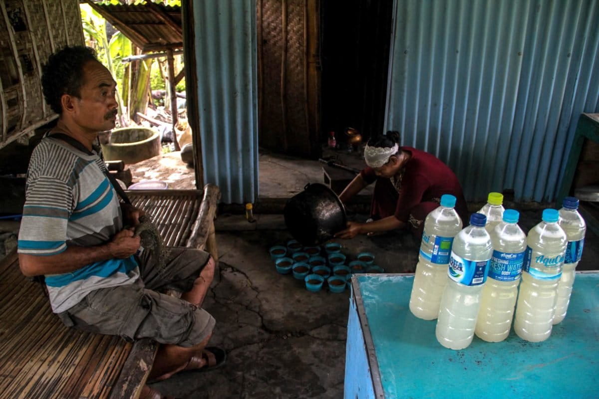 Berkenalan Dengan Siwalan, Tanaman Serbaguna