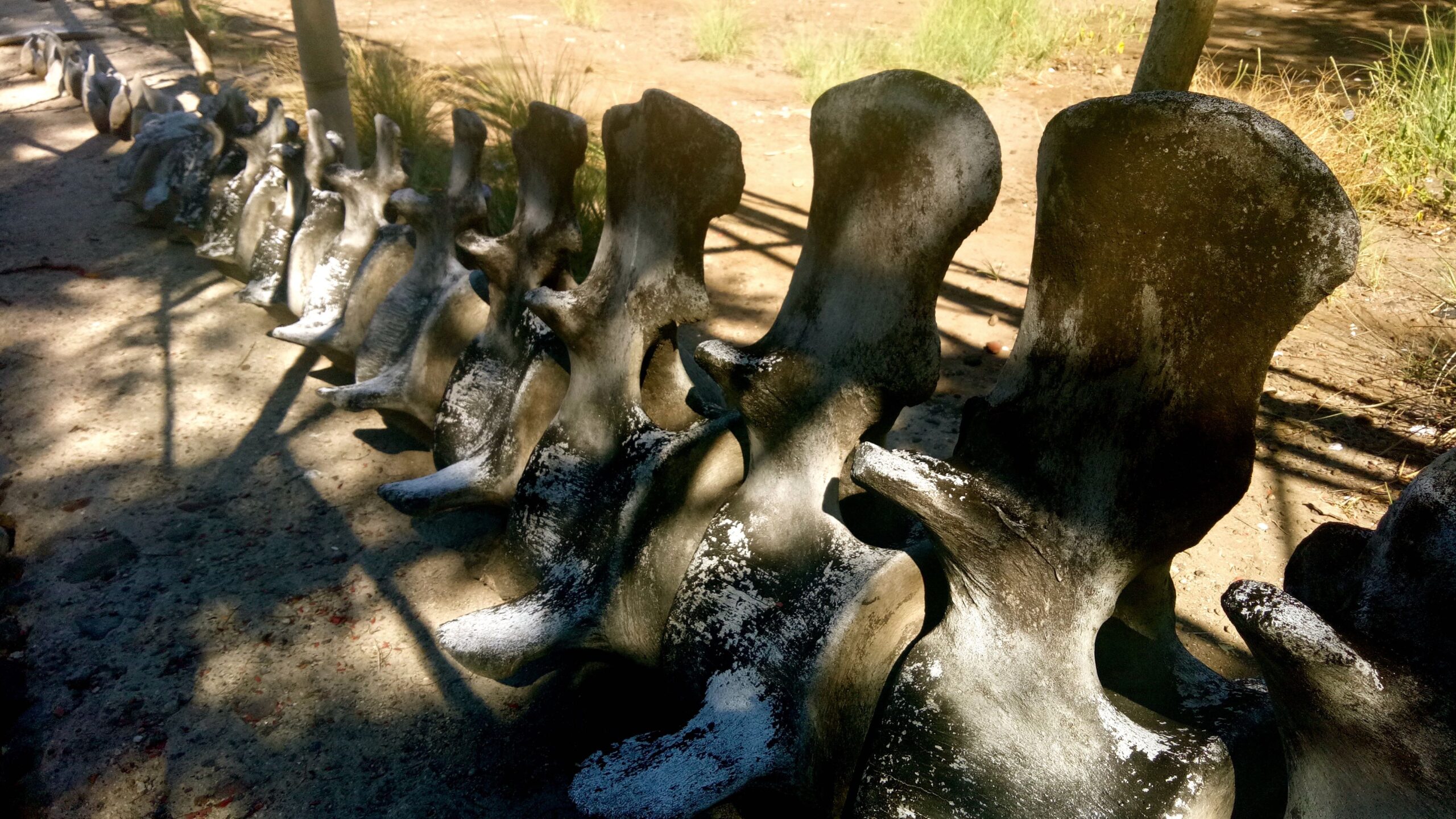 Perairan Teluk Hadakewa: Dulu Marak Potas dan Bom Ikan, Sekarang ...