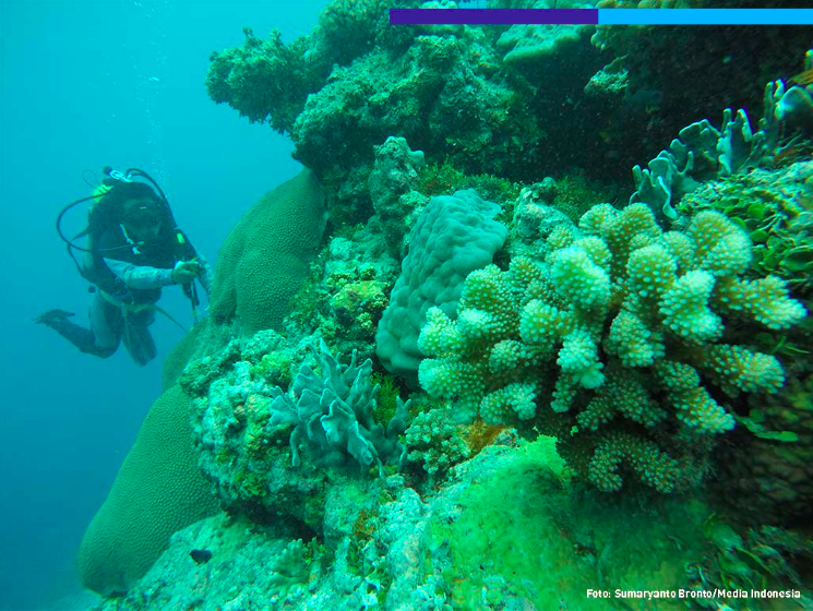 Aneka Potensi dari Kawasan Pulau Terluar Samudera Pasifik