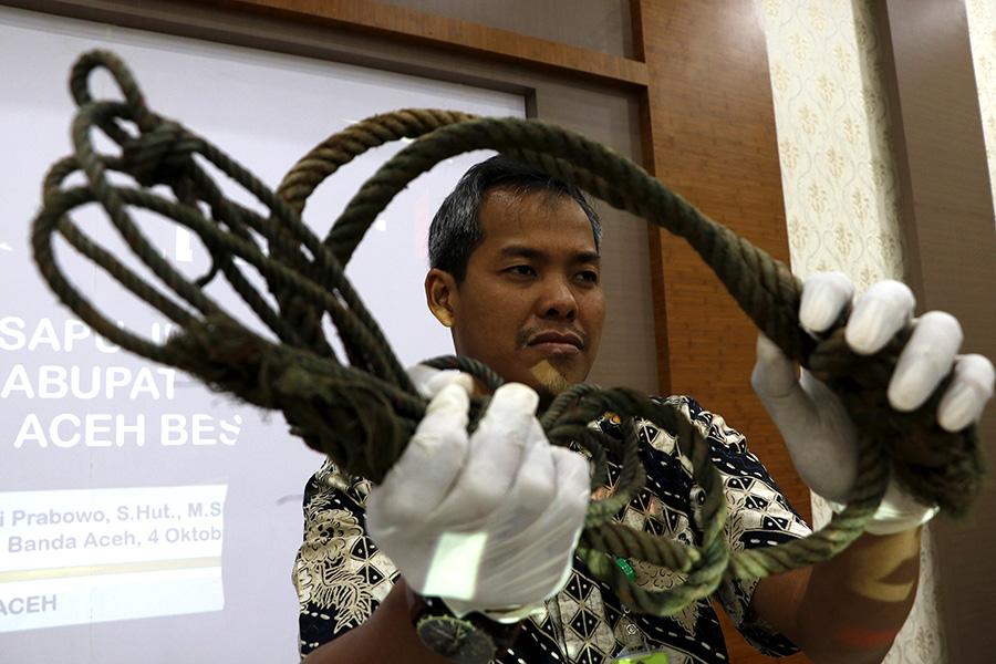 Meski Dilindungi, Perburuan Rusa Sambar Belum Berhenti
