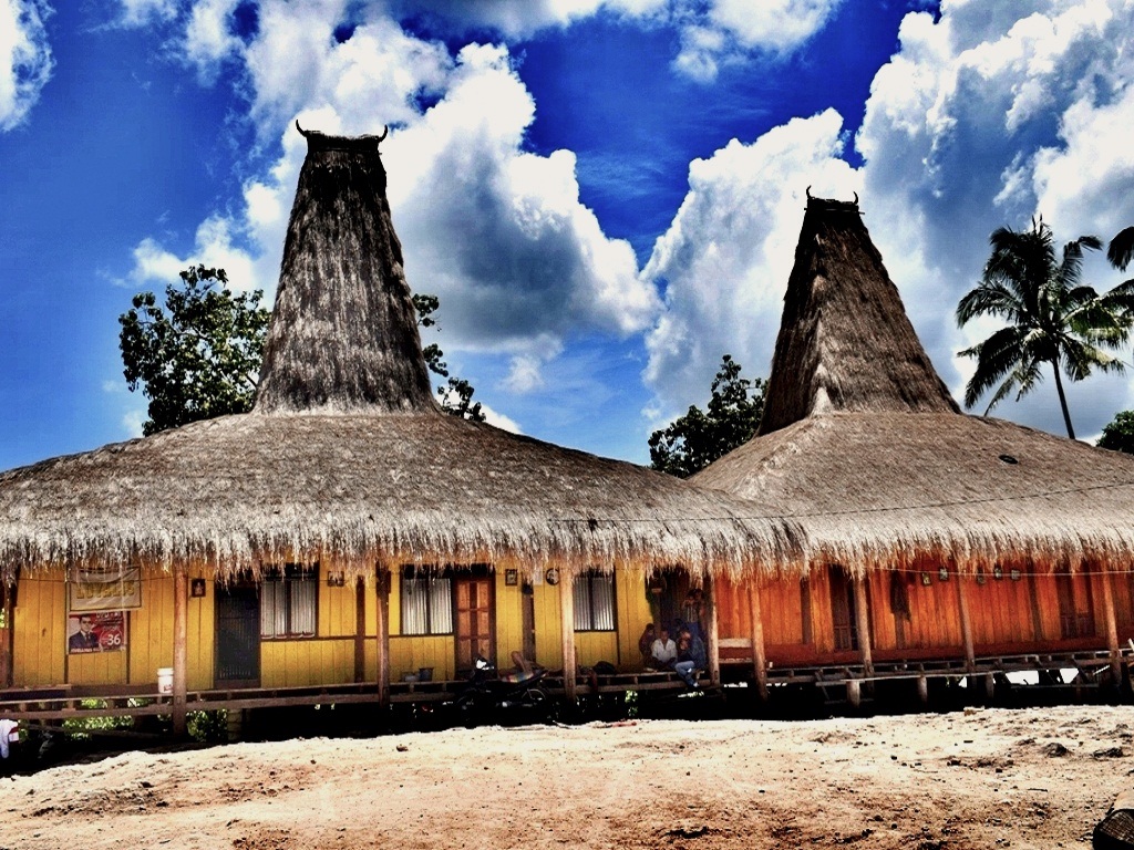 Rumah Alami Adat Sumba Semakin Sulit Dibangun, Kenapa?
