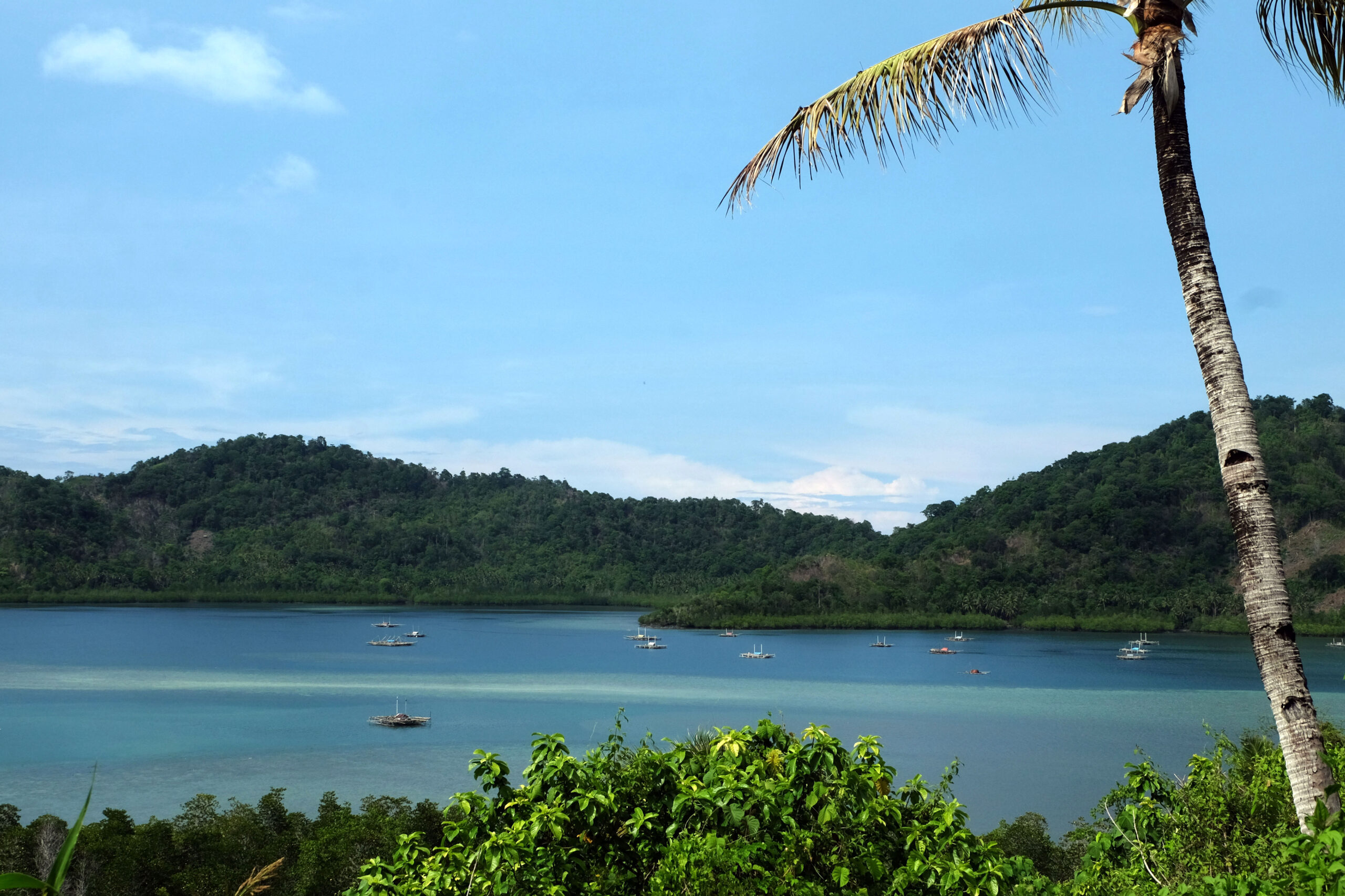 Menjaga Benteng Pesisir Teluk Labuan Uki [2]