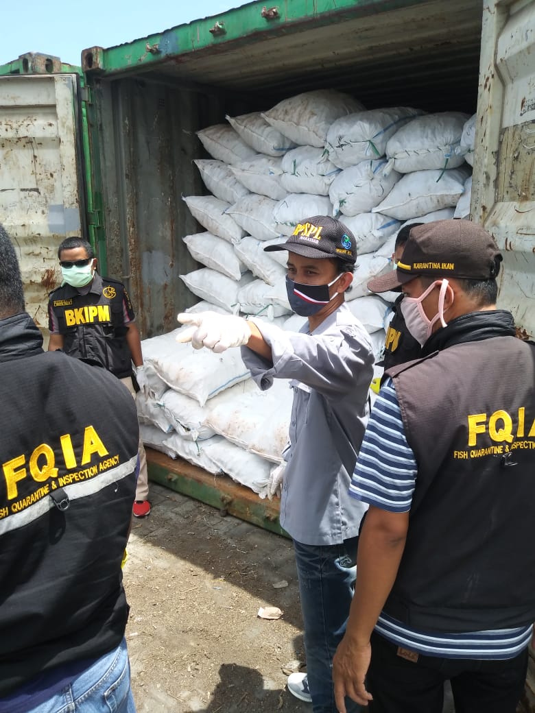 Sudah Dilindungi, Bambu Laut Masih Saja Diperjualbelikan