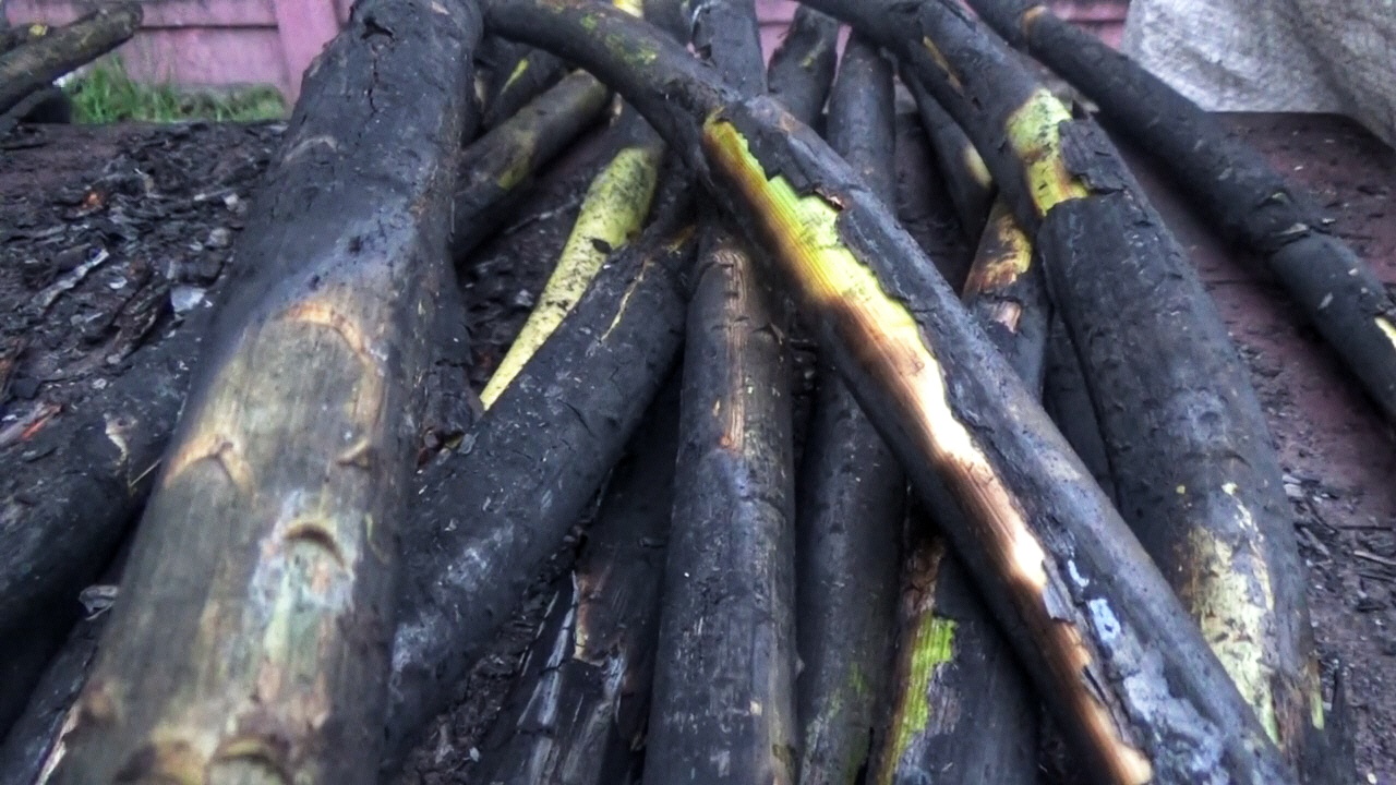 Pakkat, Makanan dari Rotan Muda Khas Mandailing