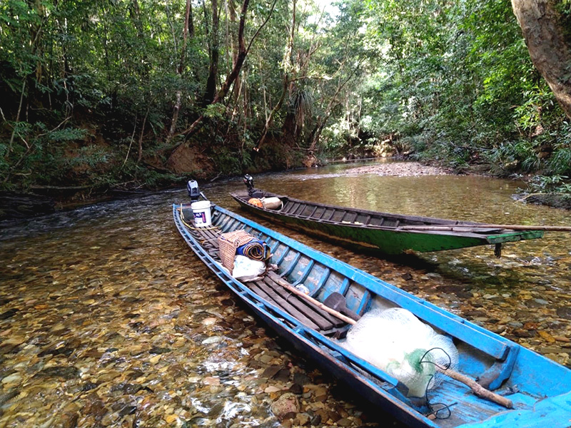 Hutan Adat Masyarakat Iban Sungai Utik Kini Diakui Negara
