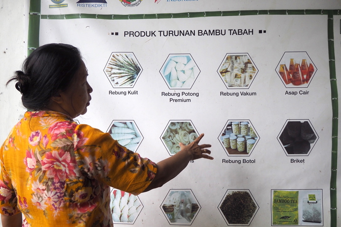 Pande Ketut Diah Kencana, Peneliti Bambu Tabah untuk Konservasi dan ...